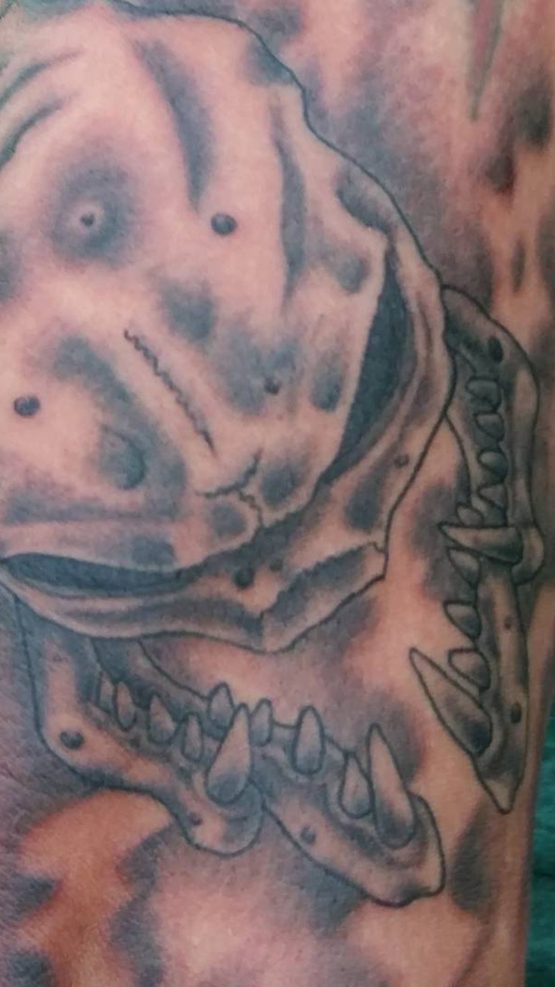 Alien Predator Skull - Tattoos.com