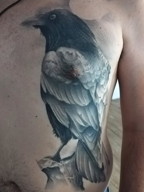 Realistic Crow Chest and Rib Tattoo - Tattoos.com