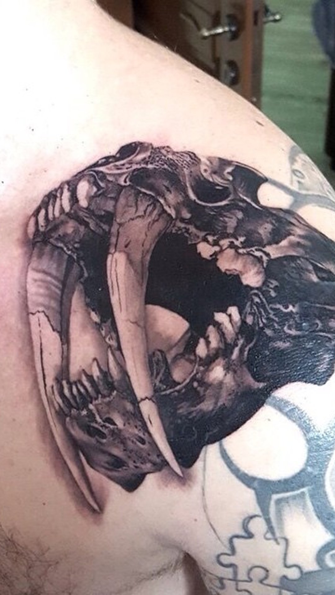 Saber-Tooth Skull Shoulder Tattoo - Tattoos.com